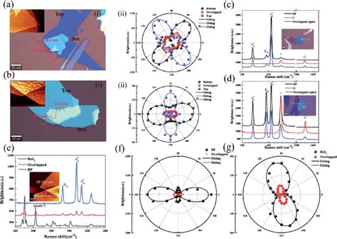Polarization Dependence Of Raman Modes For Bpbp Bpres 2 Bpg