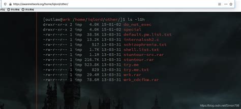 windows 源码学习，wrk 和 reactos reactos wrk csdn博客
