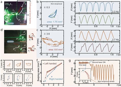 Piecewise Self‐oscillator A Definition Of The Oscillating Arm Ratio Download Scientific