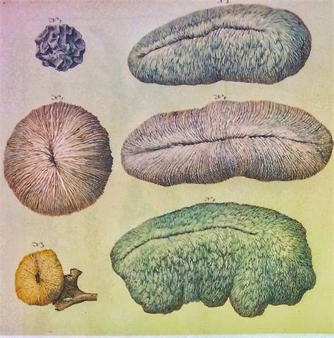 Notion Potion에 있는 핀