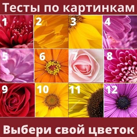 Тест: выбери цветок и узнай свои сильные стороны — Психология | Wedding