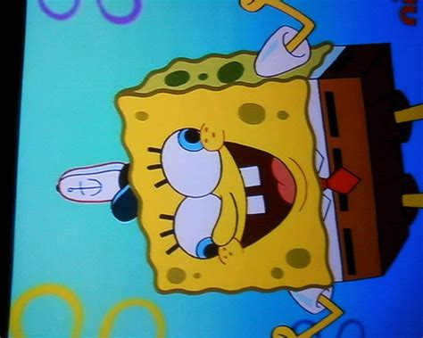 Derp Spongebob Squarepants Photo 27993107 Fanpop