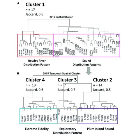 four distributional cluster groups are shown a spatial cluster