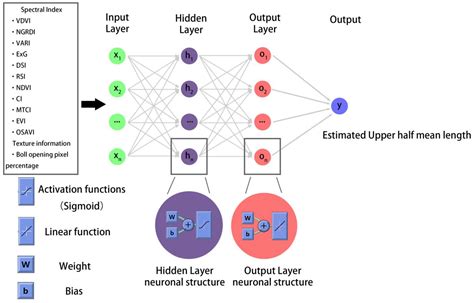 Cotton Fiber Quality Estimation Based On Machine Learning Using Time Series Uav Remote Sensing Data
