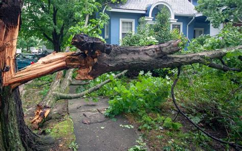 Storm Damage Tree Removal Clean Up Edmond Arcadia