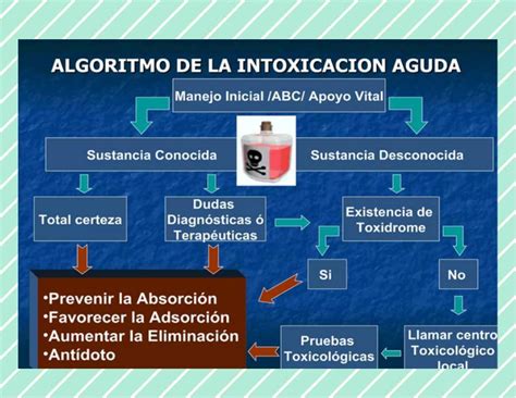 Algoritmo De La Intoxicación Aguda Alxnsx S Udocz