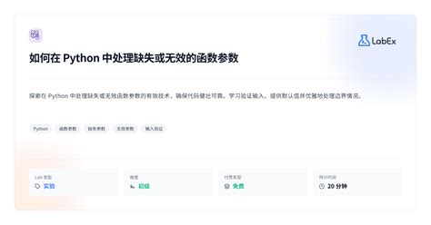 Python 函数参数缺失或无效的处理方法 避免错误，提升代码质量 Labex