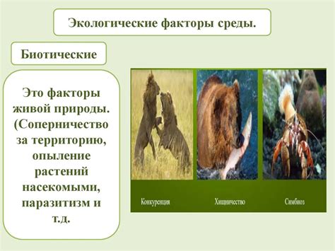 Среда обитания растений Экологические факторы презентация онлайн