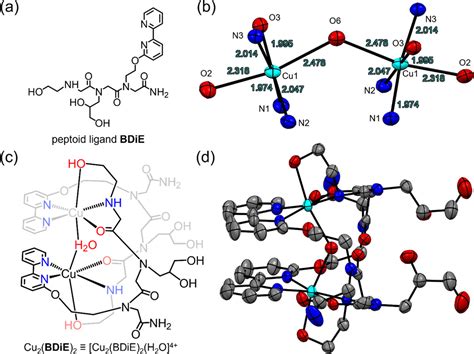 Biomimetic Second Coordination Sphere Effect Within Cu Peptoid Electrocatalyst Enables