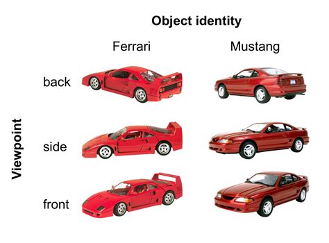 Brain Computation And Data Science