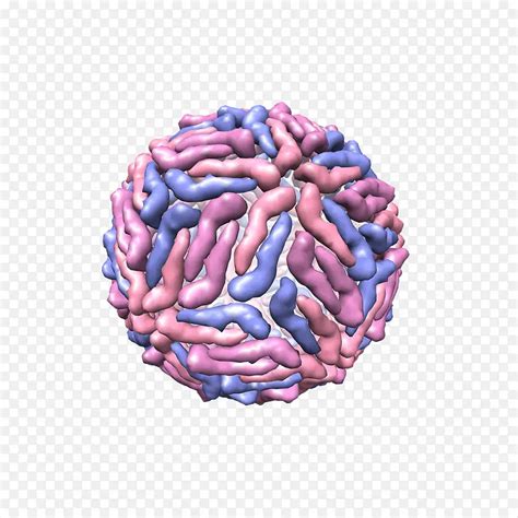 爬动的生物png图片素材下载图片编号qemljkzn 免抠素材网