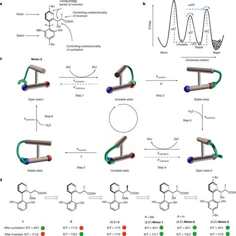Verifying The Unidirectional 360° Rotation Of The Molecular Motor By