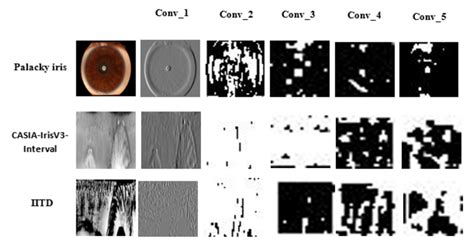 Visualization Of Activations Of The First Five Convolutional Layers Of