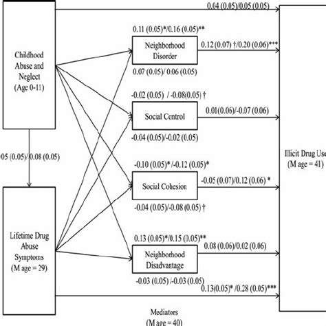 sex specific path analyses showing the results indicating relationships