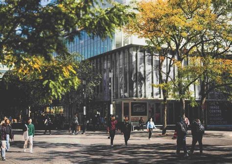 All Undergraduate Courses At Toronto Metropolitan University Ontario
