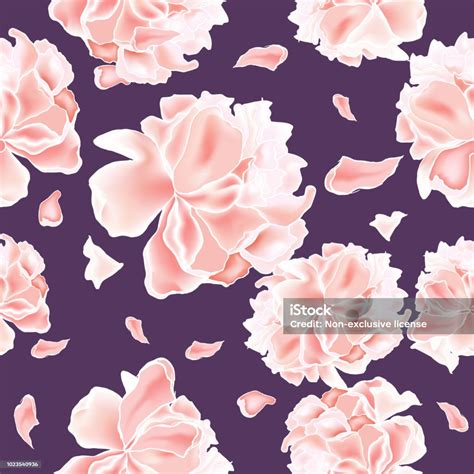 섬세 한 핑크 장미 꽃송이 또는 꽃 체리 어두운 파란색 배경에 봄의 상징의 완벽 한 배경 무늬입니다 벡터입니다 포장지 직물에