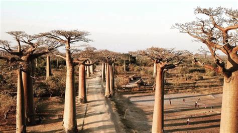 The Top 10 Wettest Places On Earth Au