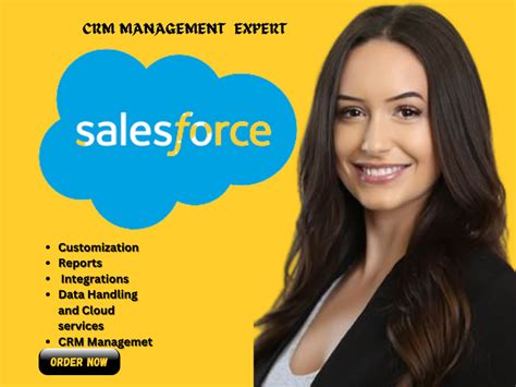 Salesforce Setup Customization Reports Customization And Integration Upwork