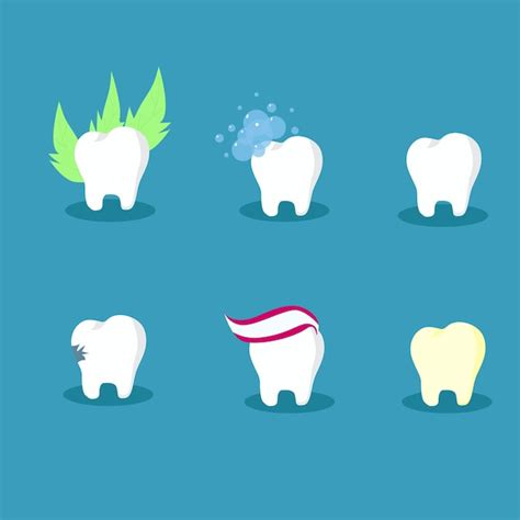 Premium Vector A Set Of Teeth Teeth Teeth Infographics Of Teeth
