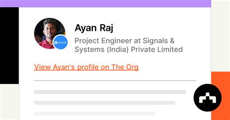 ayan raj project engineer at signals and systems india private