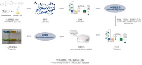 Semaglutide Chongqing Zhifei Biological Products Co Ltd Cphi Online