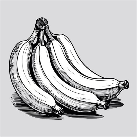 Banana Fruit Food Organic Fresh Juicy Vitamin Healthy Sketch Style Premium Ai Generated Vector