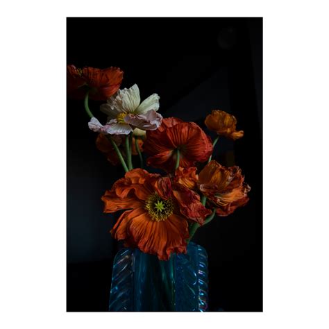 Lucia Covi Romagna Tin Bota