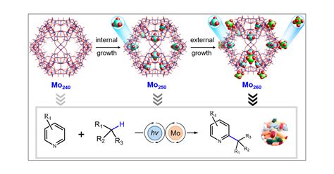 Synthesis Of Isotypic Giant Polymolybdate Cages For Efficient Photocatalytic C C Coupling