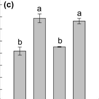 Total Root Length A Specific Root Length B Root Surface Area C Download Scientific