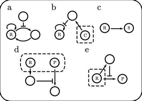 Basic Mechanisms Observed In Individuals A Noise Generation With Download Scientific