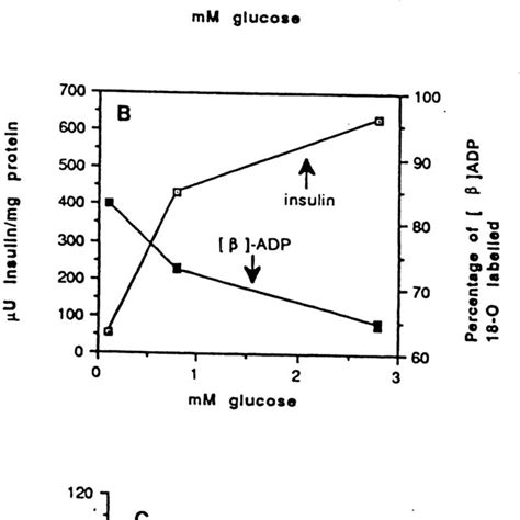 The Metabolism Of Adenine Nucleotides By Adenylate Kinase Is Highly Download Scientific Diagram