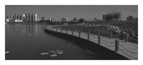 Comparison Of Image Enhancement Results Of Three Improved Algorithms