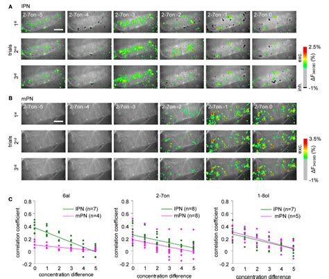 Figure 3 From Differential Odor Processing In Two Olfactory Pathways In