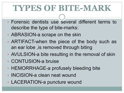 Bite Mark Description Forensic Insights And Clinical Analysis