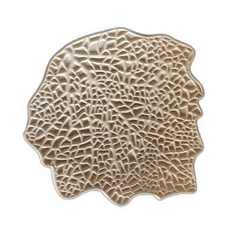 Leaf Article Cladding Stone For Wall Thickness 10mm At Best Price In