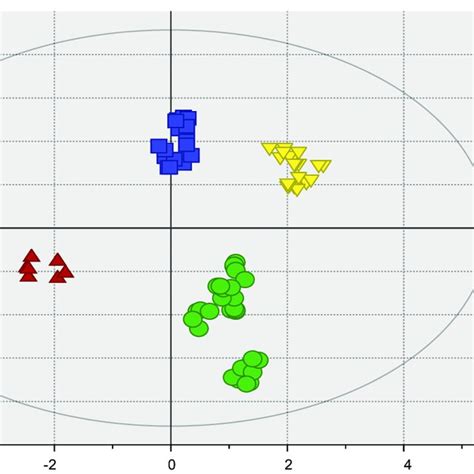 Scatter Plot Of Partial Least Squares Discriminant Analysis Model Download Scientific Diagram