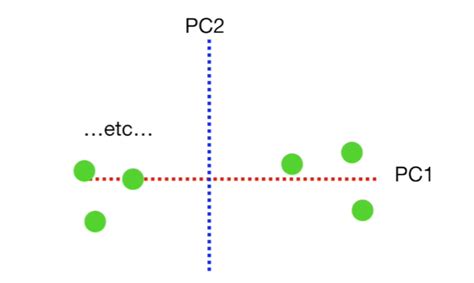 Pca主成分分析结果解释 主成分分析 Pca 原理精讲 统计学专题 Csdn博客