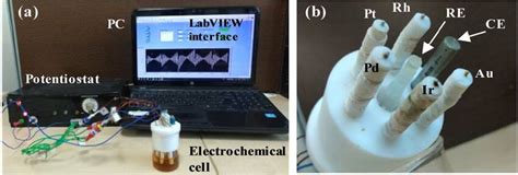 A Experimental Setup Of Electronic Tongue Showing Its Major Download Scientific Diagram