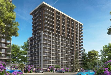 არქი იასამნები B