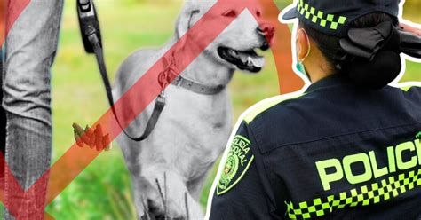 Cuáles Son Las Sanciones Por Infringir El Código Nacional De Seguridad