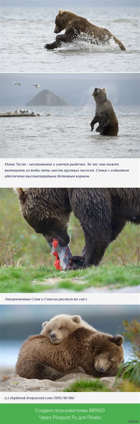 Мама Тесла на рыбалке Пикабу