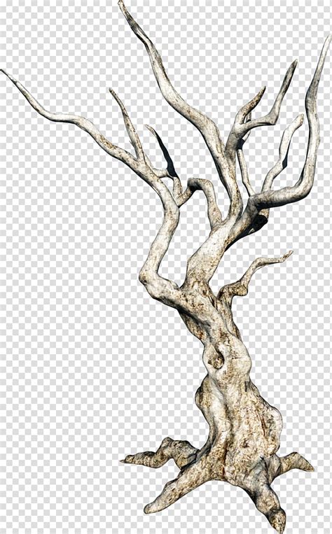 Tree Trunk Drawing Branch Twig Shrub Wood Painting Snag Root