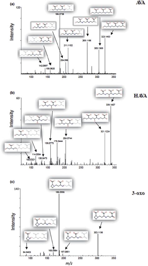 Mass Fragmentation Patterns Of The Detected Avenic Acid Ava A Download Scientific Diagram