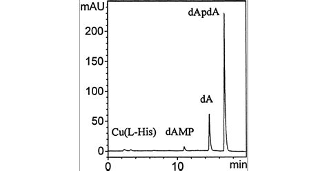 A Simple Copper(II)−l-Histidine System for Efficient Hydrolytic Cleavage of DNA | Inorganic ...