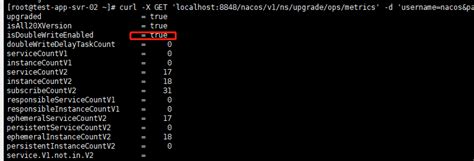 210版本的双写问题 The Dual Write Problem Occurred In Version 210 · Issue 10028 · Alibabanacos