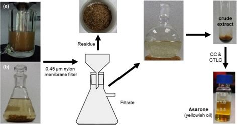 The A Ultrasonic Assisted And B Conventional Solvent Extraction Download Scientific Diagram