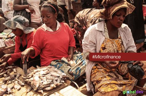 Microfinance Loans Womens Economic Empowerment And Poverty Reduction
