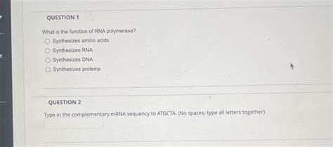 Solved The Anticodon Binds To A Complementary Codon In The Chegg Com
