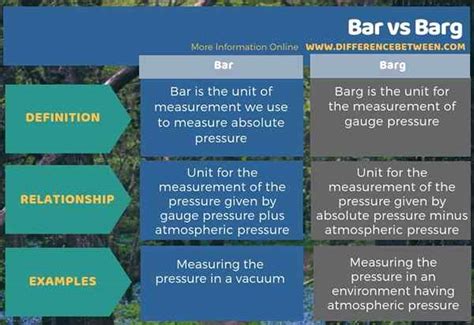 Diferencia Entre Bar Y Barg Prodiffs