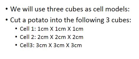 Solved Use The Measurements To Calculate Surface Area Chegg